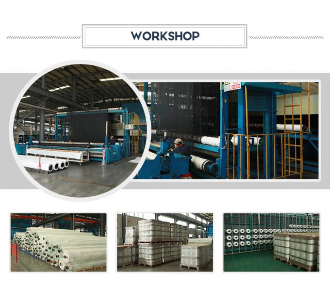 High Strength Polyester Geotextile Geogrid For Embankment reinforcement