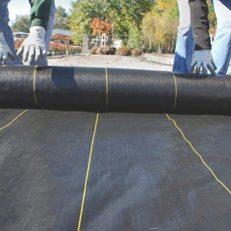 Stabilization PP Geotextile Geogrid Woven Fabric For Soil Reinforcement ...
